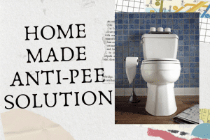 How to Protect Bathroom Walls From Urine? - (Best Methods)