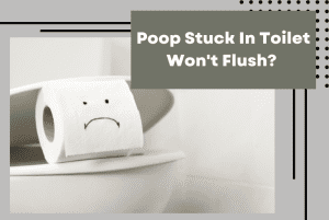 Poop Stuck In Toilet Won't Flush? - (Proven Solutions!)