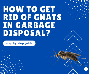 How To Get Rid Of Gnats In Garbage Disposal? - (Quick Ways)