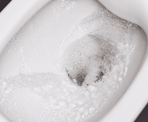 American Standard Toilet Not Flushing? - Fix Guide (2025)